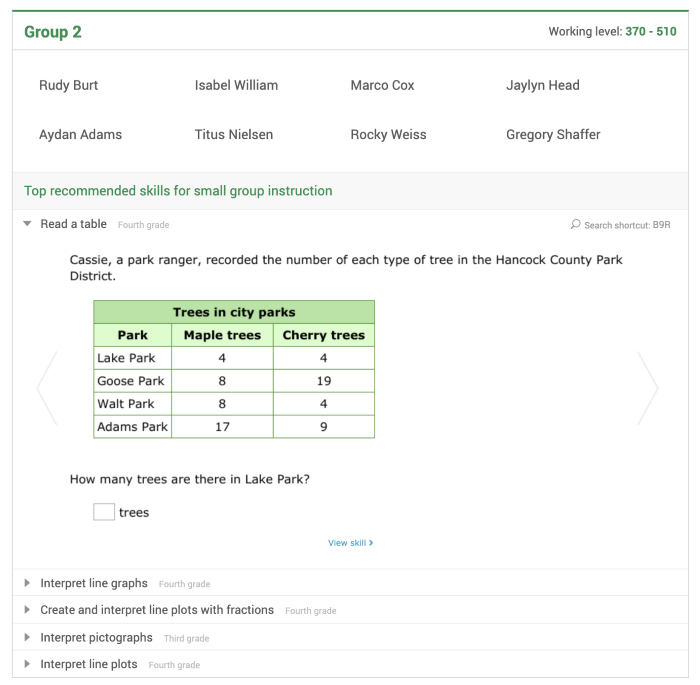 IXL - How can I use the Flex Diagnostic Strand Analysis?