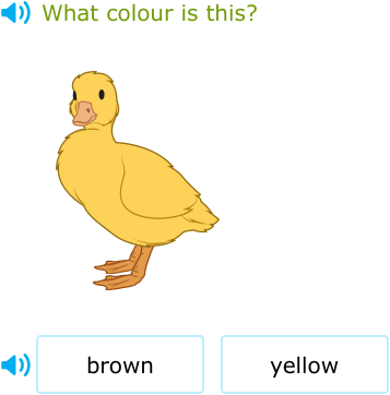 IXL - Use colour words (Preschool English practice)