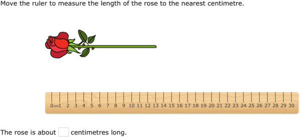 IXL - Measure using a centimetre ruler (Grade 2 maths practice)